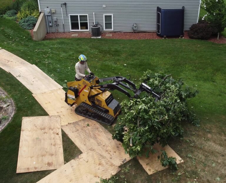 Tree Service in West Michigan - West Roots Tree Service
